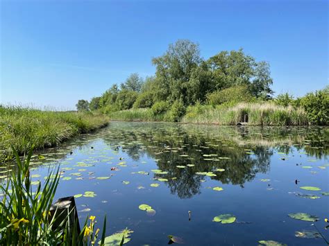 De Biesbosch National Park National Parks Association