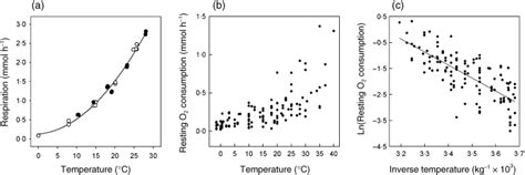 Why Does Metabolism Scale With Temperature Clarke 2004