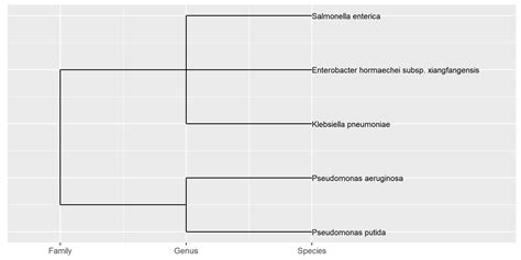 R Hierarchical Categorical Data To Tree Plot Stack Overflow