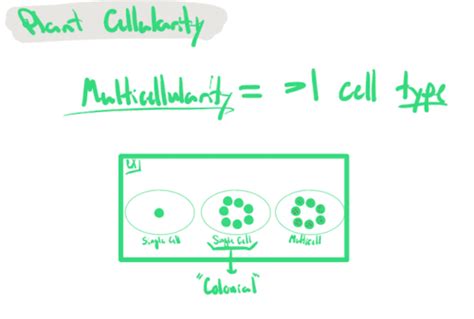 Chapters 20 21 And 22 Flashcards Quizlet