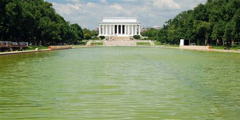 The New Trump Reflecting Pool Is A Big Hit With Algae Page 14 Us Message Board 🦅