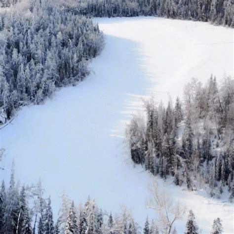 程嘉楠送滴･ 高清图片，堆糖，美图壁纸兴趣社区
