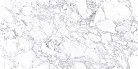 Libo White Felport International Marketing