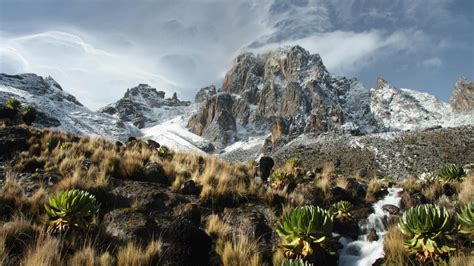Glorious Solitude On Mt Kenya Lonely Planet