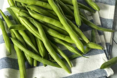 Green Beans Vs String Beans The Complete Guide