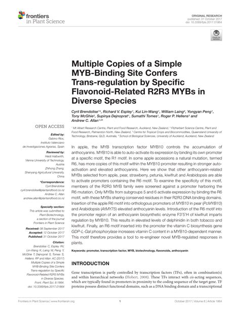 Pdf Multiple Copies Of A Simple Myb Binding Site Confers Trans