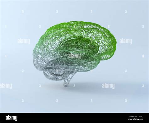 Human Brain Abstract Lines Connected Neuron Network 3d Illustration