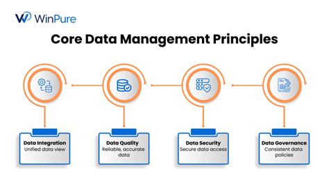 Data Management Principles A Guide For Modern Businesses Winpure