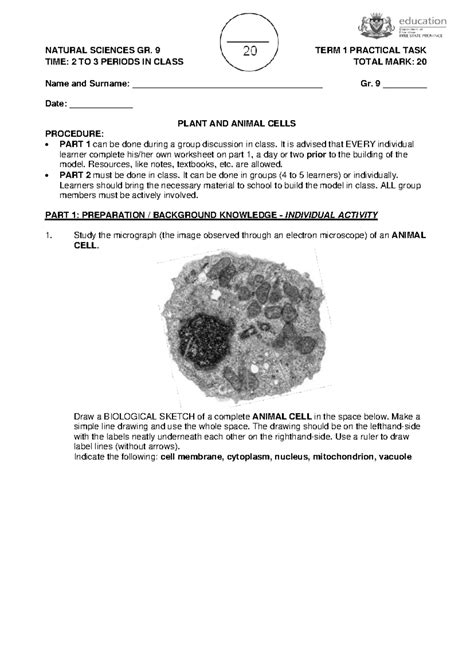 Grade 9 Natural Science Learners Guide Circulatory And Respiratory