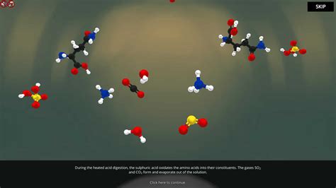 Kjeldahl Method Estimate The Protein Content In Food Virtual Lab Labster