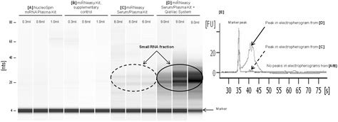 Extraction Rna Seq Blog
