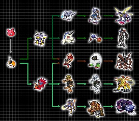 Digivolution Chart Punimon Digimon Wallpaper Digimon Digimon