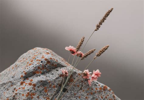 Ore Grade Decline → Term