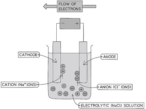 The Process Of Electrolysis Notes Study Chemistry For Grade 10
