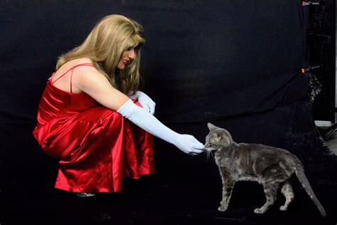 Here Kitty Kitty Kitty It Looks Like He Wanted To Join M… Flickr