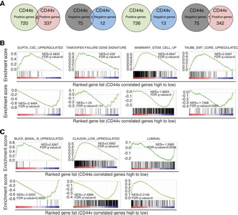 Cd44 Splice Isoform Switching Determines Breast Cancer Stem Cell State
