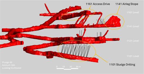 ‘bonanza Intersections Mane Attraction At Lion Ones Tuvatu Gold Mine