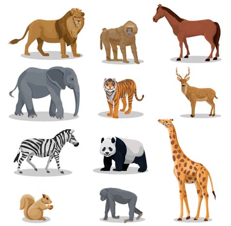 Phylogeny And Cladistics Read Biology Ck 12 Foundation