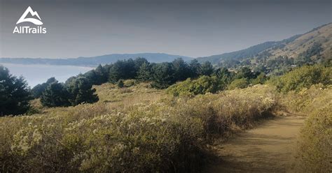 Mount Tamalpais