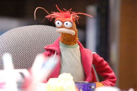 Pepe The King Prawn Meme The Reality Behind The Viral Tiktok Trend