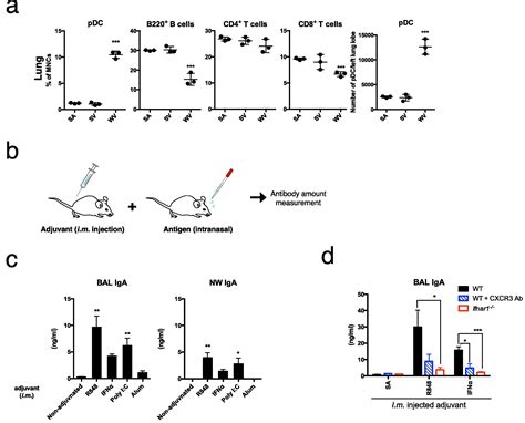 Systemically Inoculated Adjuvants Stimulate Pdc Dependent Iga Response