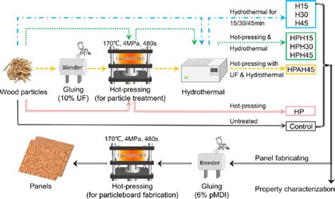 Sample And Panel Preparation Flowchart Download Scientific Diagram