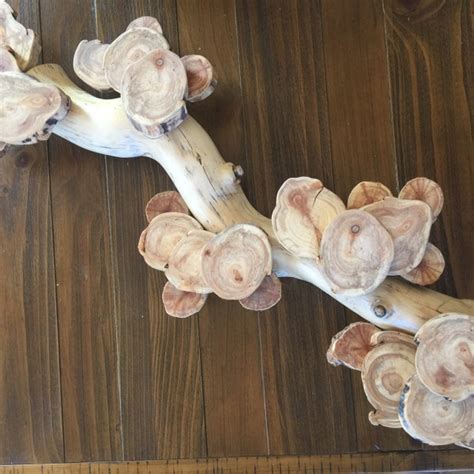Live Edge Aspen Log Wall Shelf Rustic Entryway Shelf Etsy
