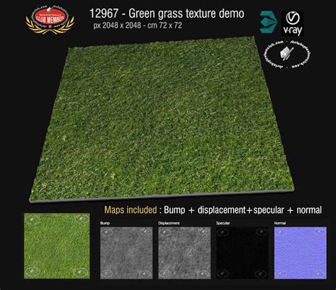 Sketchup Texture Amazing Green Grass Textures Seamless And Maps