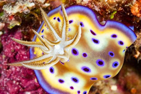 Michelle Drevlows Instagram Twitter And Facebook On Idcrawl