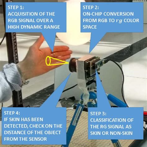RGB Signal Sampling Principle Of The Proposed RGB Color Sensor The Sum Download Scientific