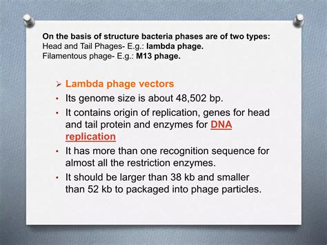Vector And Its Properties Types Pptx