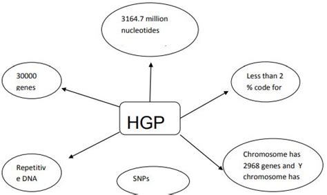 Cbse Class 12 Biology Molecular Basis Of Inheritance Notes Set A