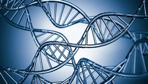 Ally Bridge Group Linkedin