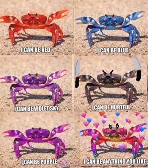 Memes About Crabs Crab Memes 40 Hilariously Weird Gems About Crabs