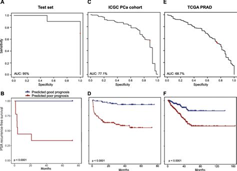 performance analysis of the model in the test and validation datasets