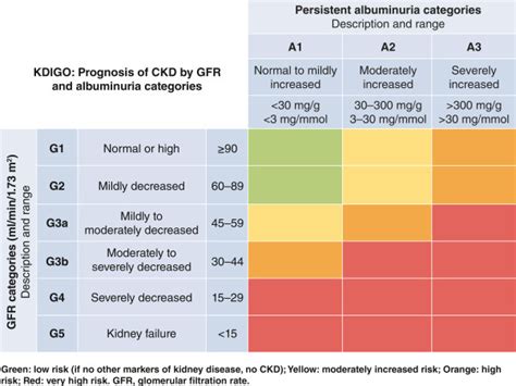 Kdigo 2024 Clinical Practice Guideline For The Evaluation And