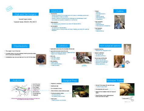 Digital And Tail Surgery Lecture Notes On Onychectomy Gs 101 Studocu