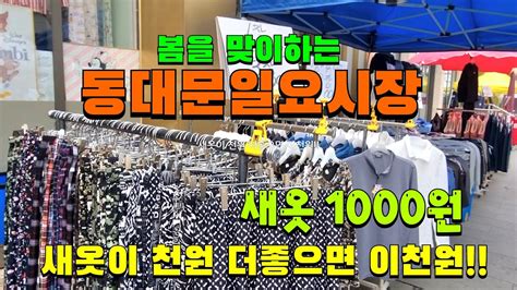 새로운 봄 맞이 새단장 가격은 착하게 동대문일요시장 Youtube