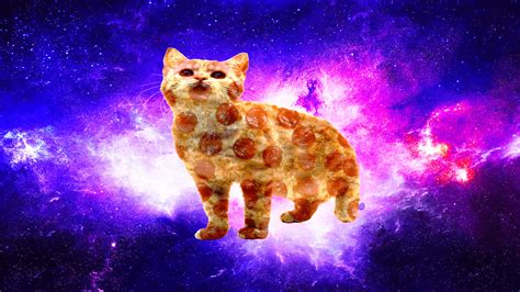 Cats In Space Wallpapers