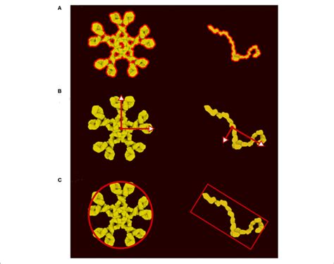 Definition Of Colliders A 2d Polygon Collider Defined From The