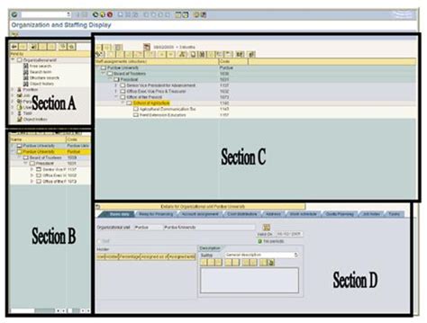 Organisation Management Sap Hr Collections