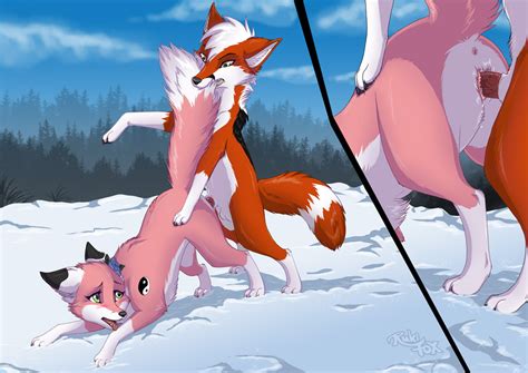 Rule 34 Anus Balls Bite Canine Close Up Female Feral Feral On Feral