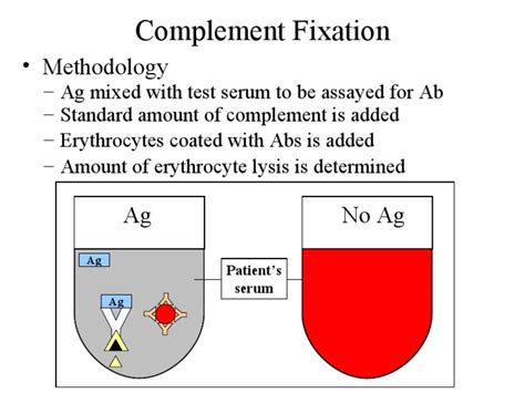 Complement Fixation Pdf