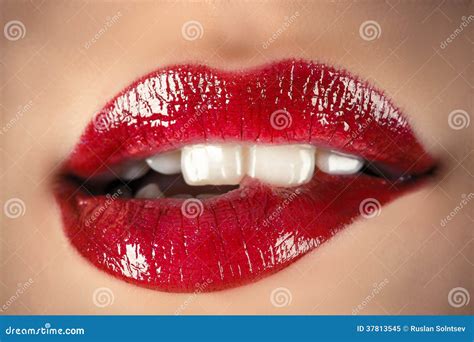 Sensual Lips Stock Image Image Of Glamour Bright Girl 37813545