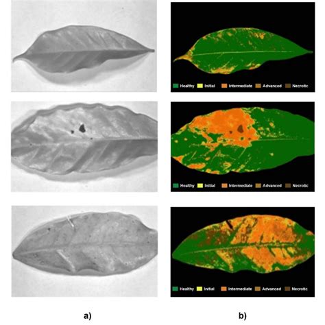 Classification Of Rust Infection States A Intensity Images And B
