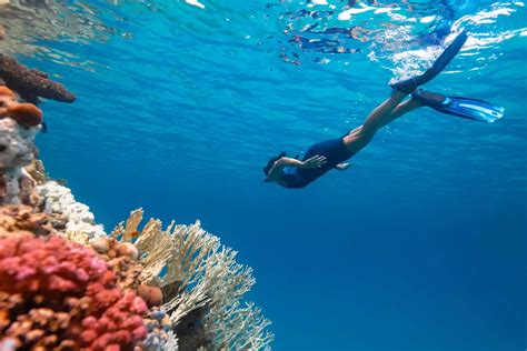 Shura Island The Heart Of The Red Sea Visit Red Sea