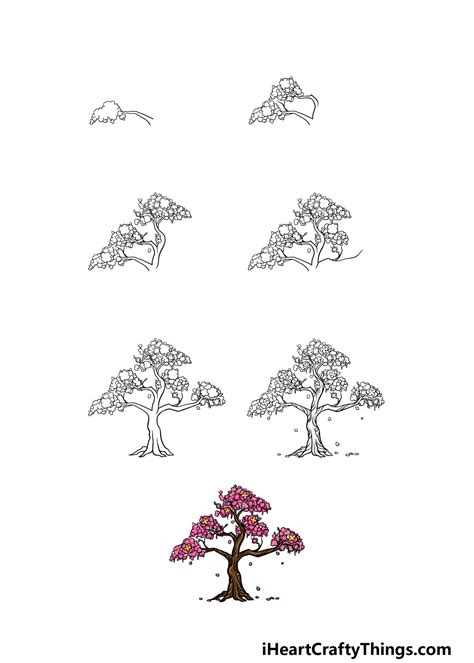 How To Draw A Cherry Blossom Tree Simple Cummings Begicke2001