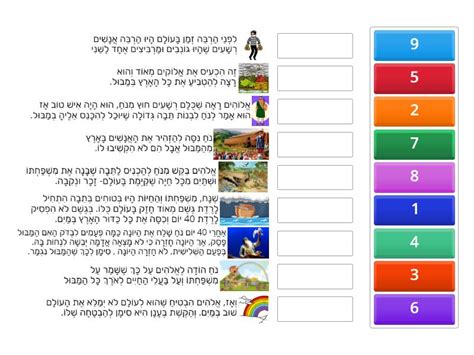 תיבת נח רצף סיפורי התאמה