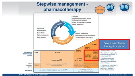Update Delle Linee Guida Bpco Leonardo M Fabbri Md Fers Ppt Download