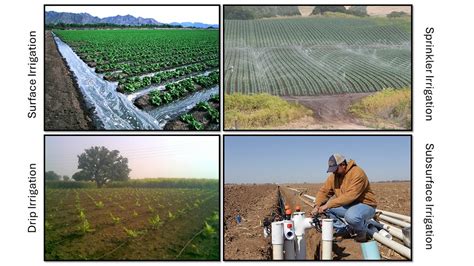 Passive Vs Active Irrigation Systems Comparison Science Project